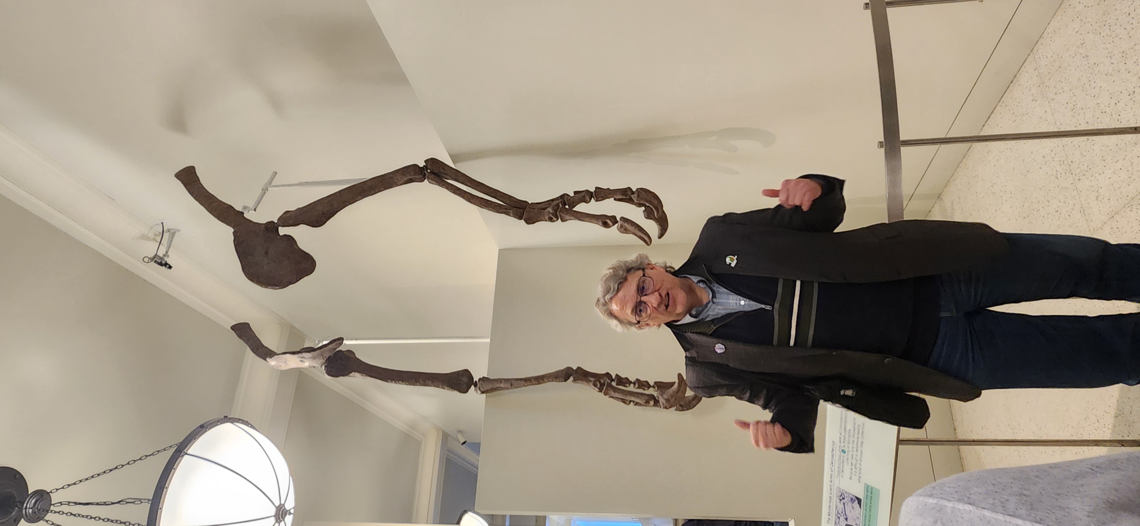 Excursion Report: American Museum of Natural History